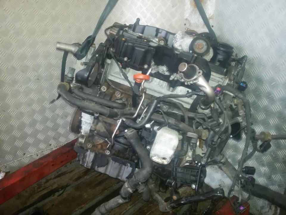 CAY Engine Volkswagen Golf 2010 1.6L - EIS00051865 | Used Auto Parts Shop