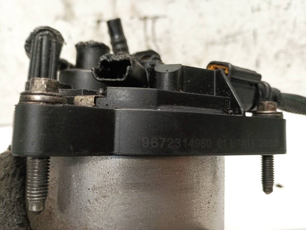 9672314980 967231498001, f026402862, 97082821 Fuel filter Citroen ...