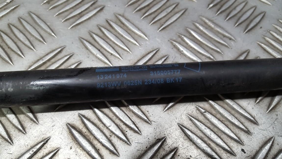 13241974 315005777 Trunk Luggage Shock Lift Cylinder, Gas Pressure ...