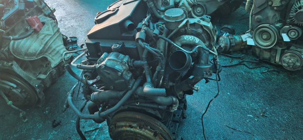 BLS used Engine Volkswagen Golf 2007 1.9L - EIS02512550 | Used Auto ...