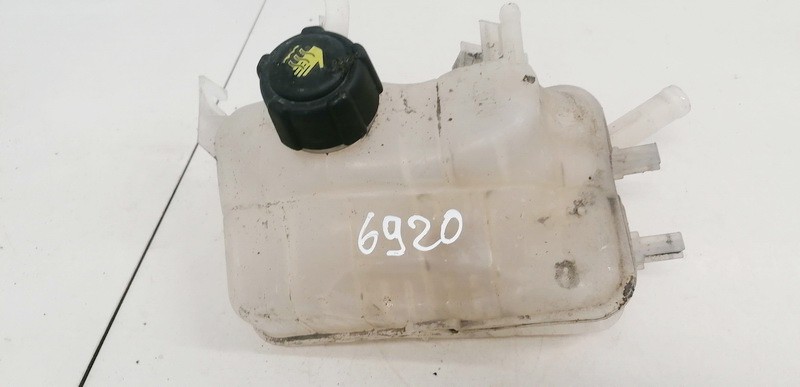 217100005R USED Expansion Tank coolant (RADIATOR EXPANSION TANK BOTTLE ...