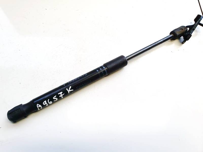5123730911703 51237309117-03 Trunk Luggage Shock Lift Cylinder, Gas ...