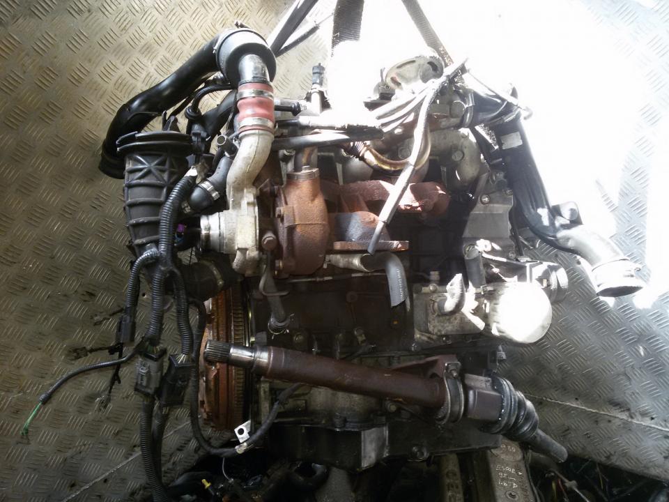 f9da Engine Ford Focus 2001 1.8L - EIS00053765 | Used Auto Parts Shop