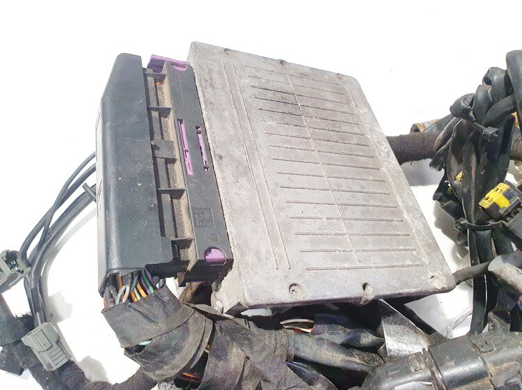 e3031001 used GAS control module (Controller gas system LPG) Other ...