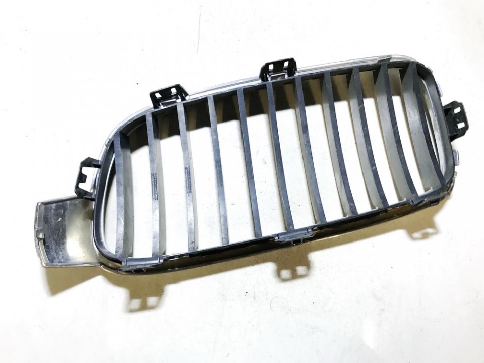 51137255412 51137263482, 51137263480, 51137260498 Front hood grille BMW ...