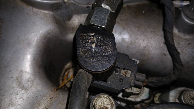 28489548 25195089 Fuel Injector Opel Antara 2013 2.2L - EIS02654724 ...