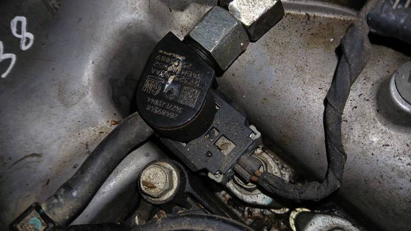 28489548 25195089 Fuel Injector Opel Antara 2013 2.2L - EIS02654724 ...