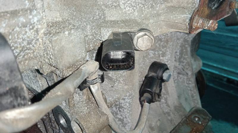 03F919501b Engine Coolant Water Temperature Sensor (Temp Sensor) Seat ...