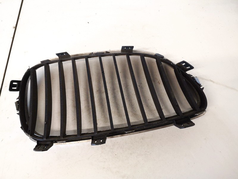 51137065701 51.137065701, 51.137027061 Front hood grille BMW 5-Series ...