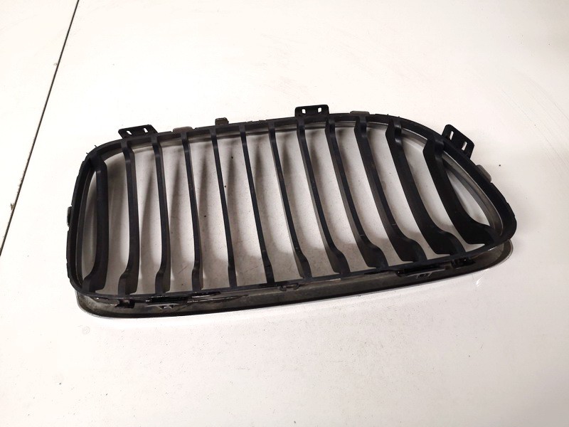 51137201967 5113-7201968 Front hood grille BMW 3-Series 2011 1.8L ...