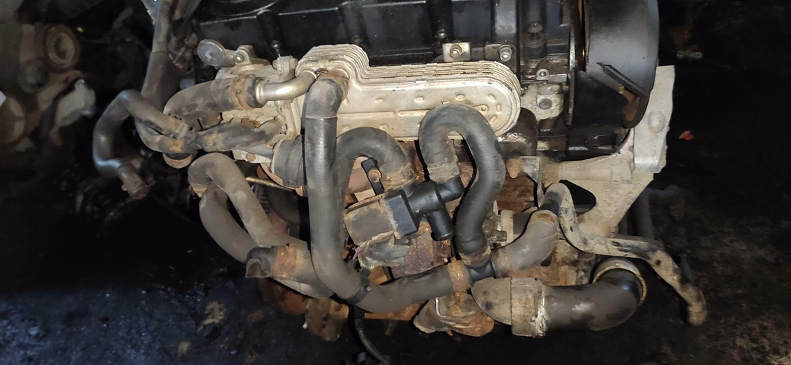 BKD Engine Volkswagen Touran 2005 2.0L - EIS01588501 | Used Auto Parts Shop