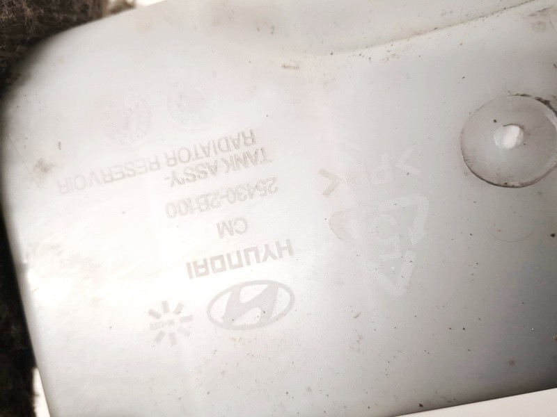 254302b100 25430-2b100 Expansion Tank coolant (RADIATOR EXPANSION TANK ...