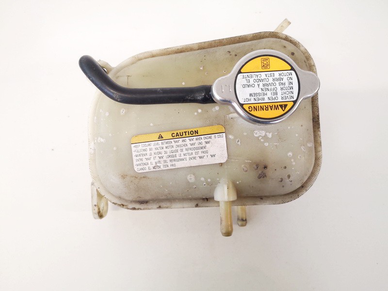 254312h100 25431-2h100 Expansion Tank coolant (RADIATOR EXPANSION TANK ...